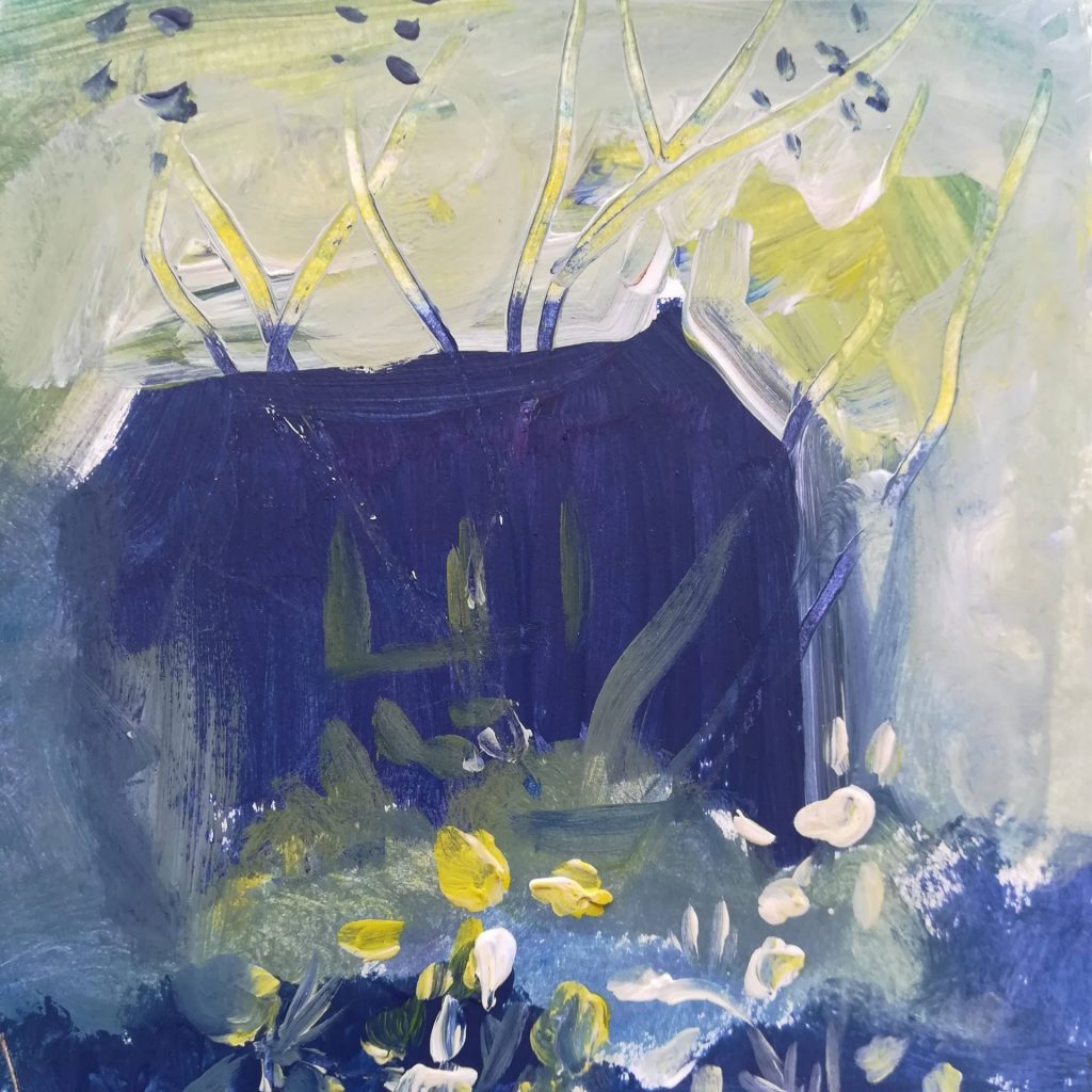 sallydove Home • sallydove